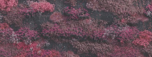 Sleep Token - Even In Arcadia (Album Review) - Cryptic Rock